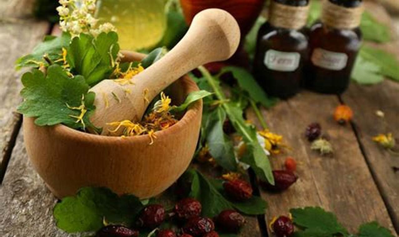 Natural Healing: Medicinal & Herbal Plants Benefits