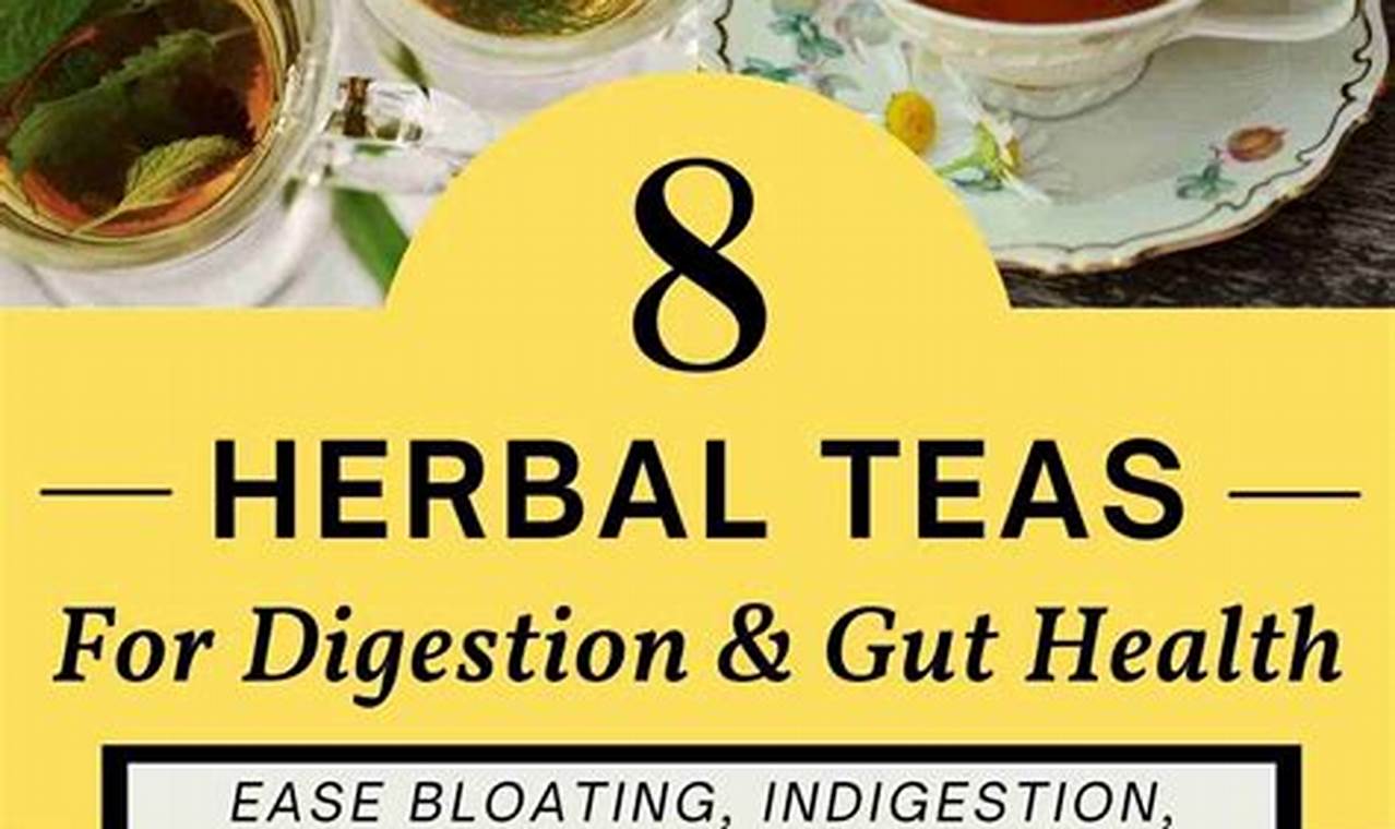 The Best Herbal Tea for Gut Health: Your Guide + Recipes