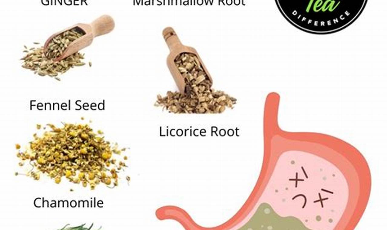 Best Herbal Tea for GERD Relief: Soothe Acid Reflux
